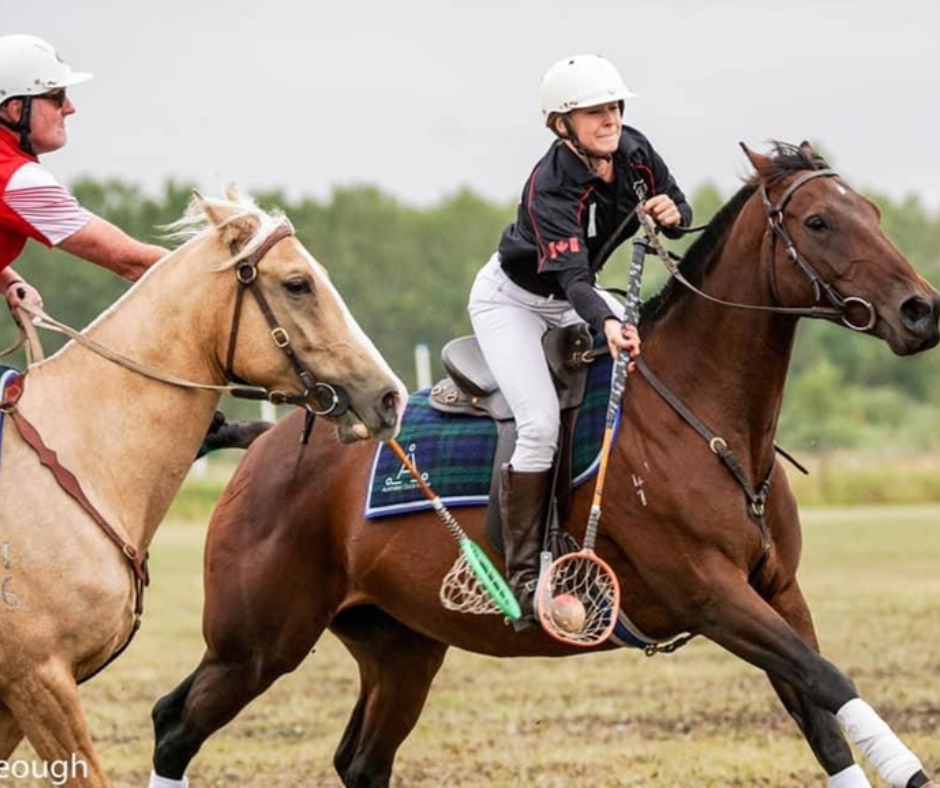 Horse Disciplines - Saskatchewan Horse Federation